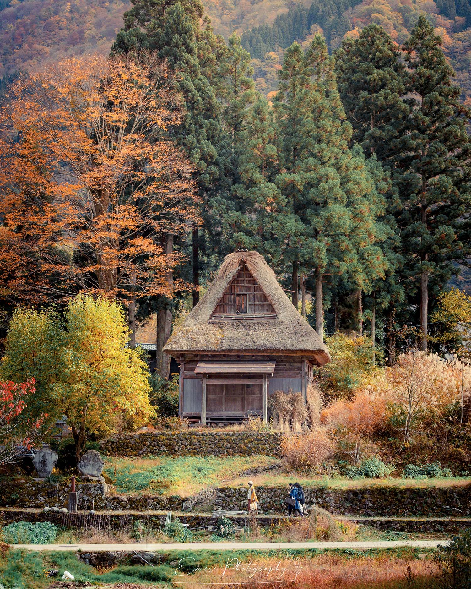 【2024最新】秋を満喫するならここ！インスタ映えする富山のおすすめ紅葉スポット8選 | toieba（トイエバ）