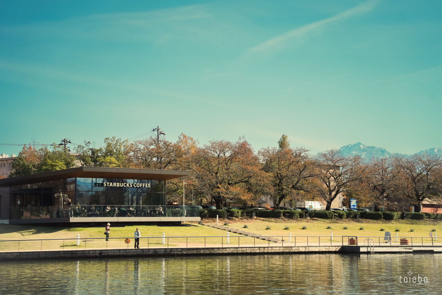 【最新版】富山県内でペットを連れて観光できるおすすめスポット8選 | toieba（トイエバ）