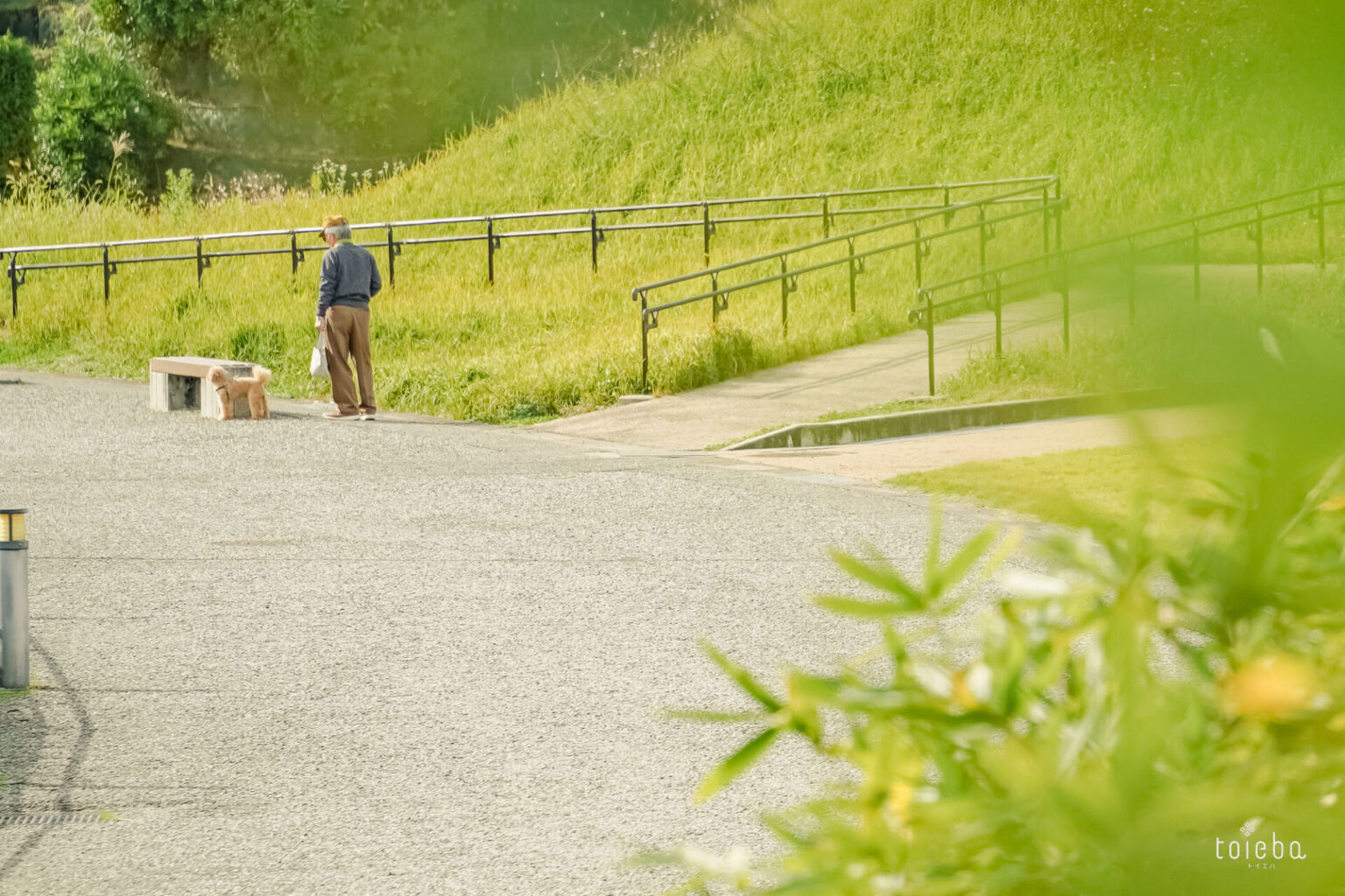 【最新版】富山県内でペットを連れて観光できるおすすめスポット8選 | toieba（トイエバ）