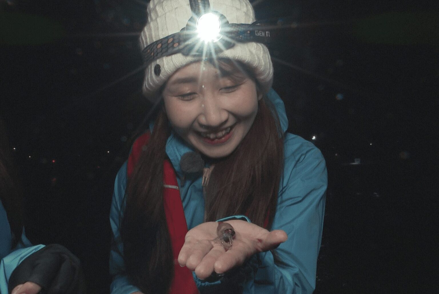 【2025年最新】ホタルイカすくいの時期とポイント | toieba（トイエバ）