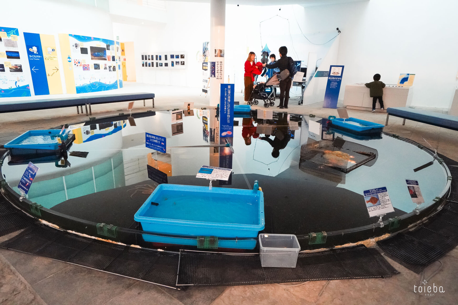 【最新版】ほたるいかミュージアムの楽しみ方と見どころ | toieba（トイエバ）
