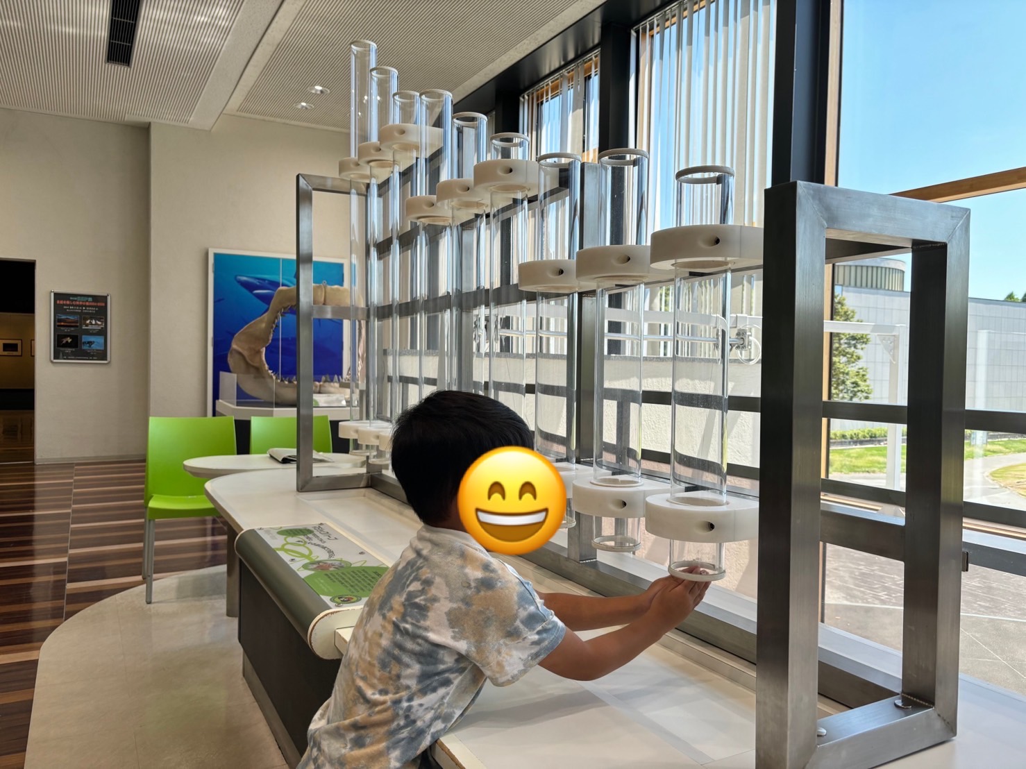 【富山市科学博物館】大人も子どもも楽しめる！魅力を紹介 | toieba（トイエバ）