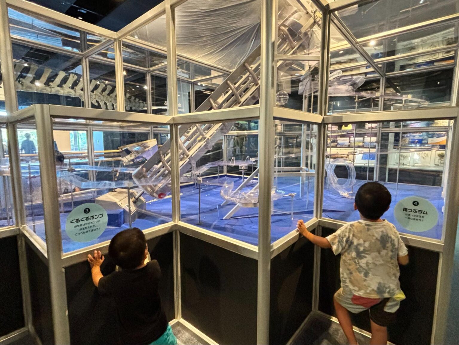 【富山市科学博物館】大人も子どもも楽しめる！魅力を紹介 | toieba（トイエバ）