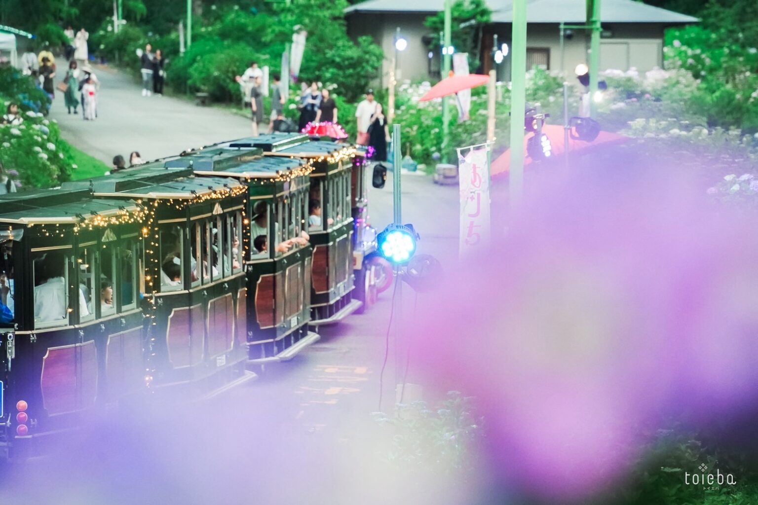 【あじさい祭りin太閤山ランド】富山の梅雨を楽しむお出かけスポット | toieba（トイエバ）