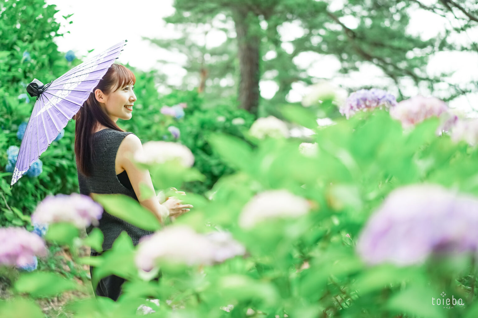 【あじさい祭りin太閤山ランド】富山の梅雨を楽しむお出かけスポット | toieba（トイエバ）